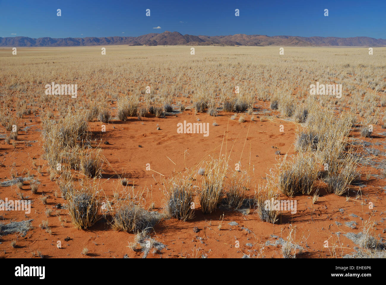 Tiras hi-res stock photography and images - Alamy