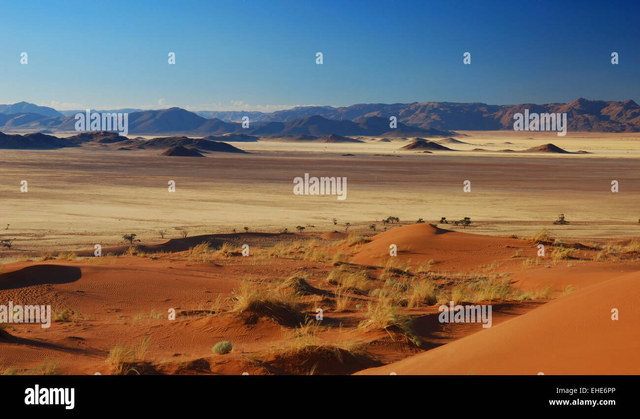 Tiras hi-res stock photography and images - Alamy