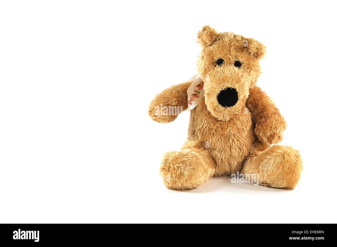 Dog plush hi-res stock photography and images - Alamy