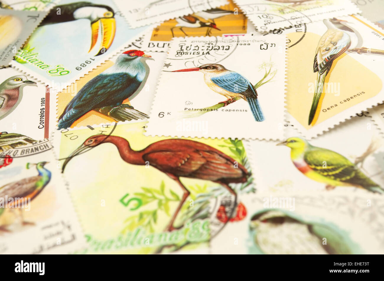 Birds Stamps High Resolution Stock Photography and Images - Alamy