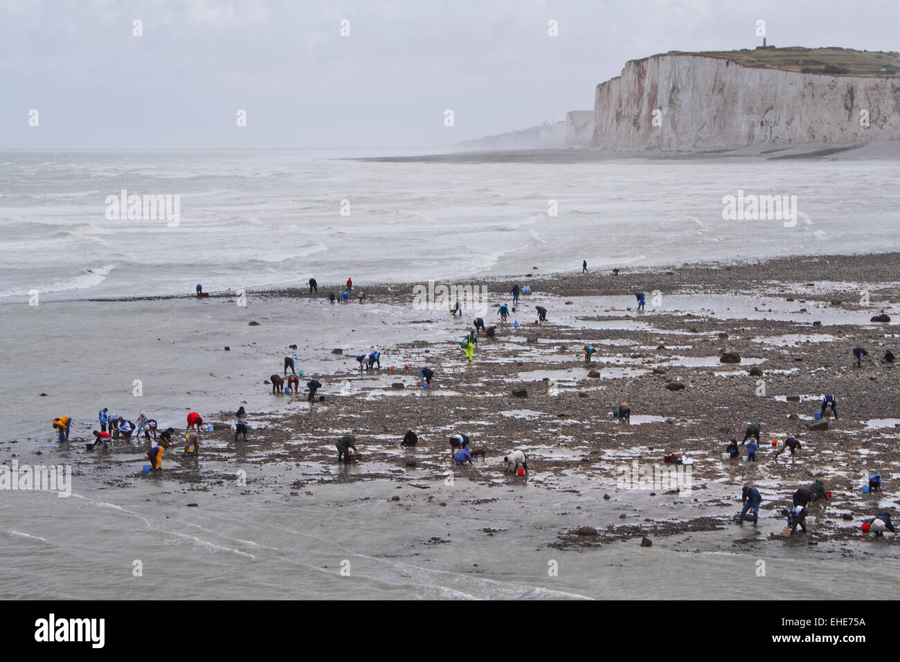 shell seekers, Normandy, France Stock Photo - Alamy