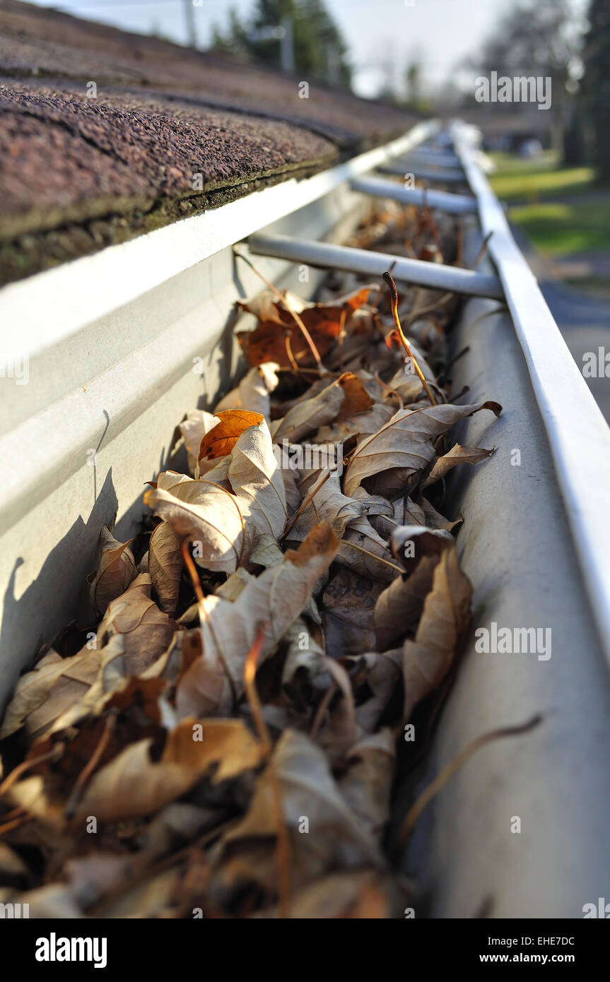 Leaves problem gutter maintenance hi-res stock photography and images ...