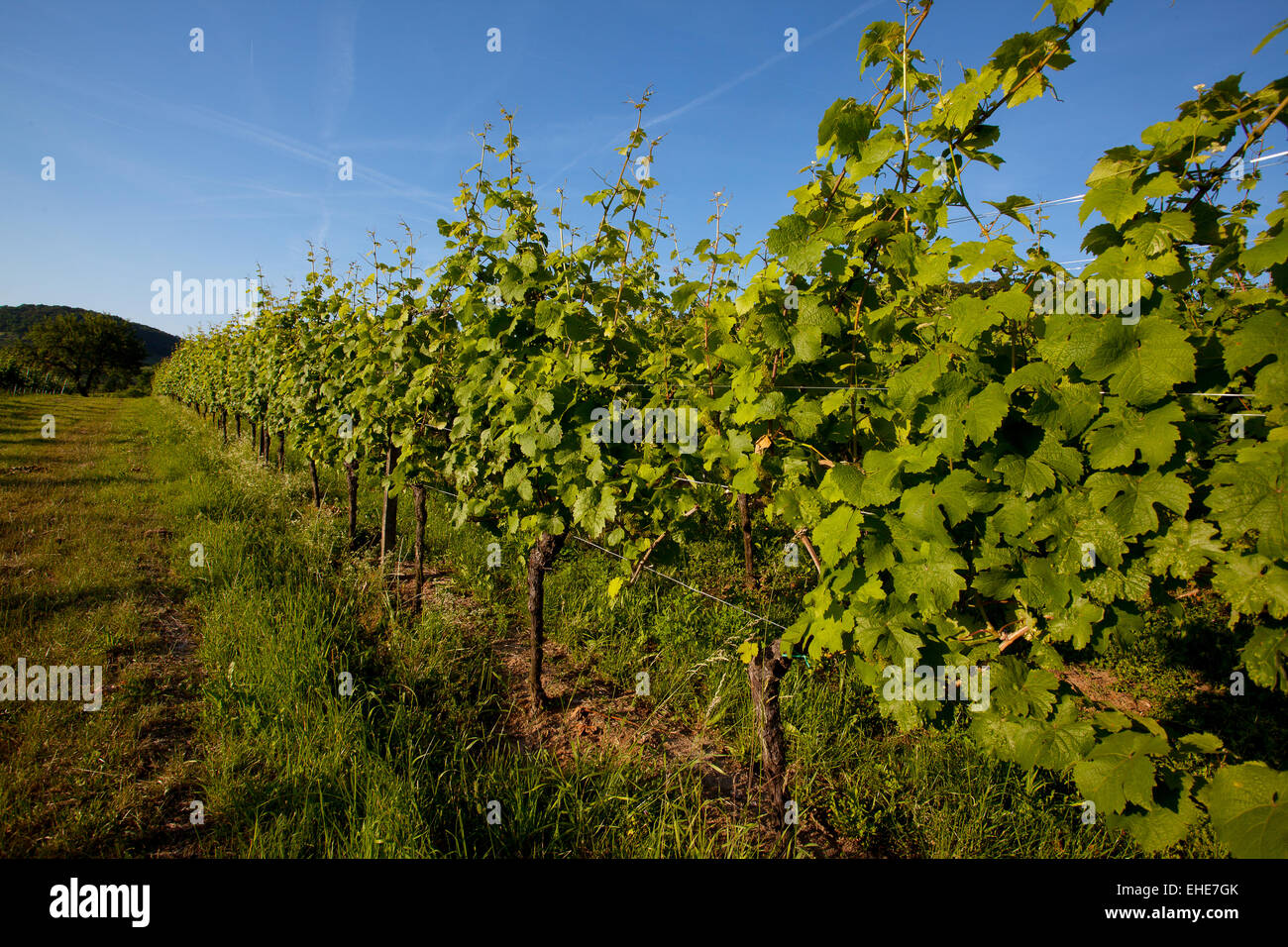 Südliche hügel hi-res stock photography and images - Alamy