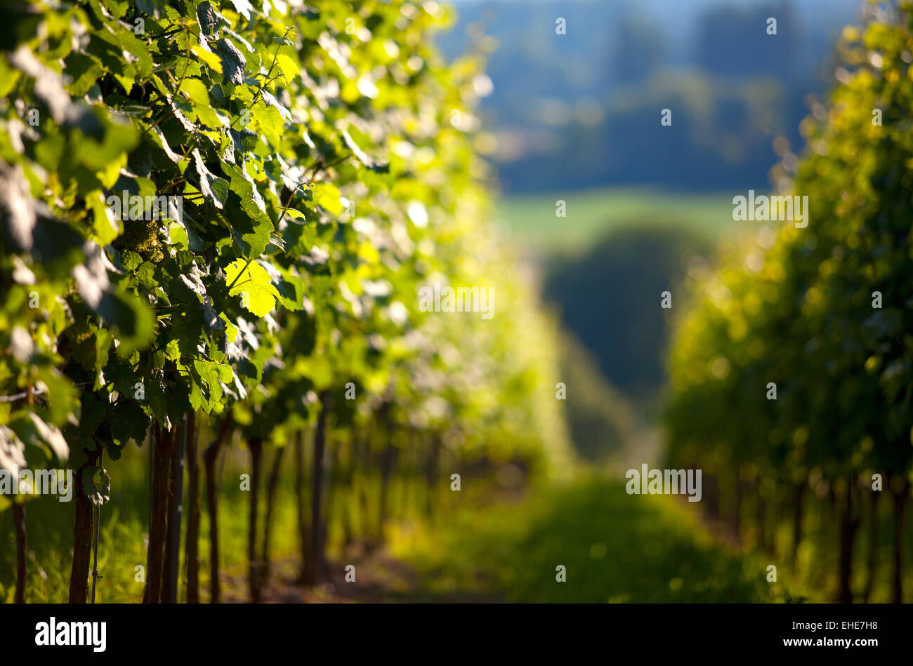 Südliche hügel hi-res stock photography and images - Alamy