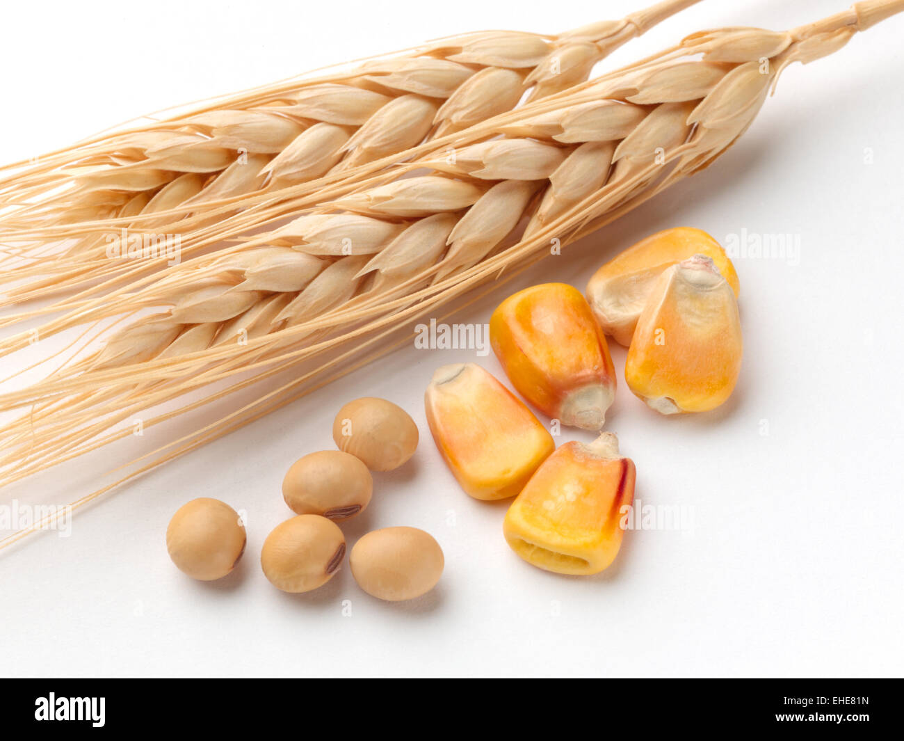 Sources of ethanol Stock Photo - Alamy