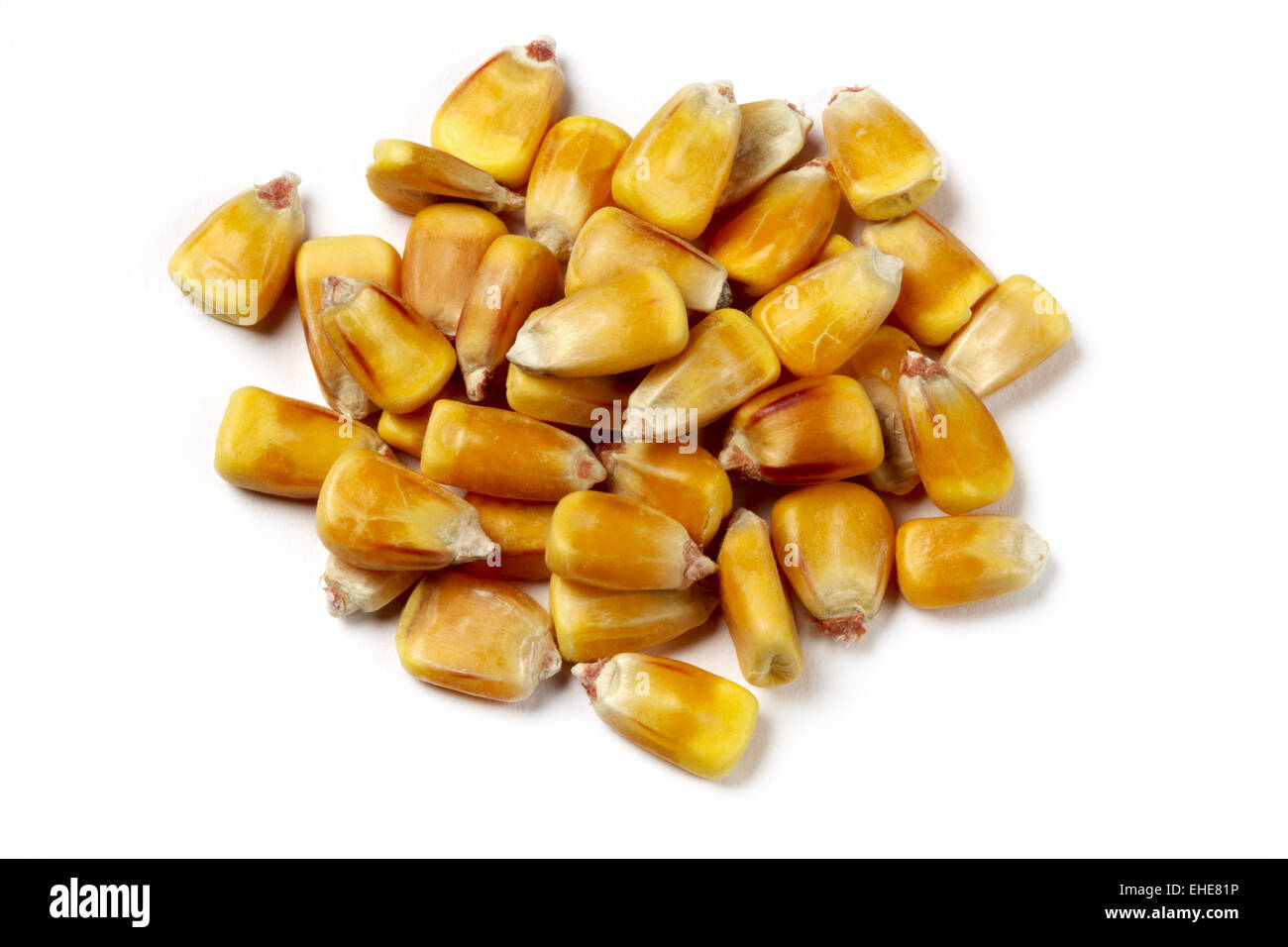 Corn for ethanol Stock Photo - Alamy