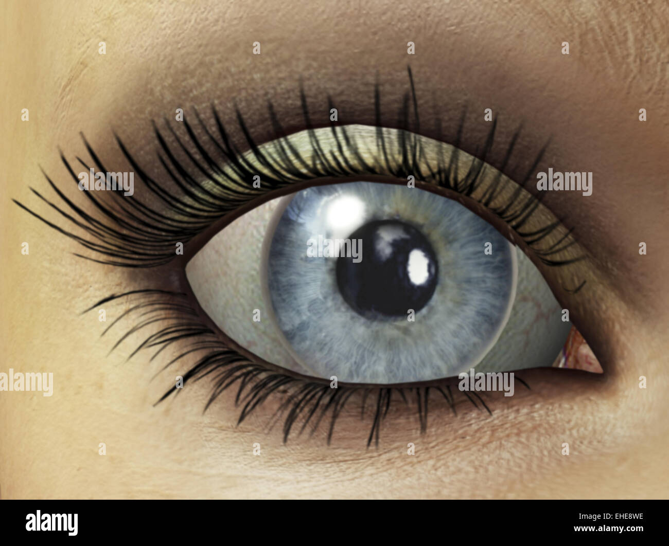 Eye lashes graphic hi-res stock photography and images - Alamy