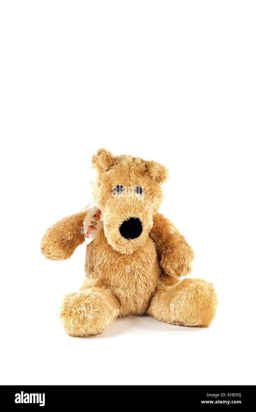 Dog plush hi-res stock photography and images - Alamy