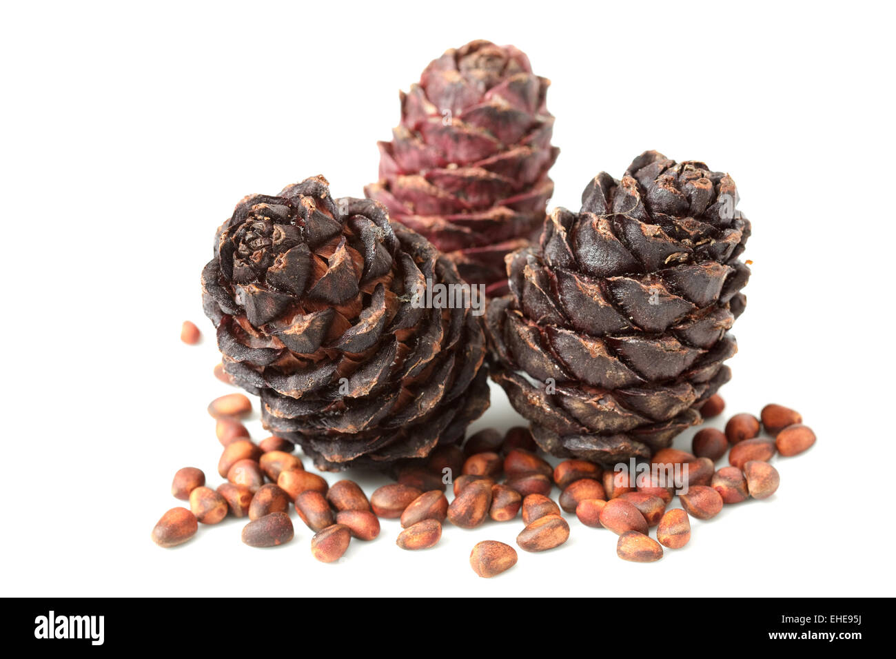 pine cone on a white background Stock Photo - Alamy