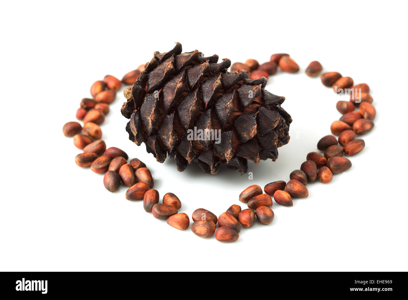 pine cone on a white background Stock Photo - Alamy