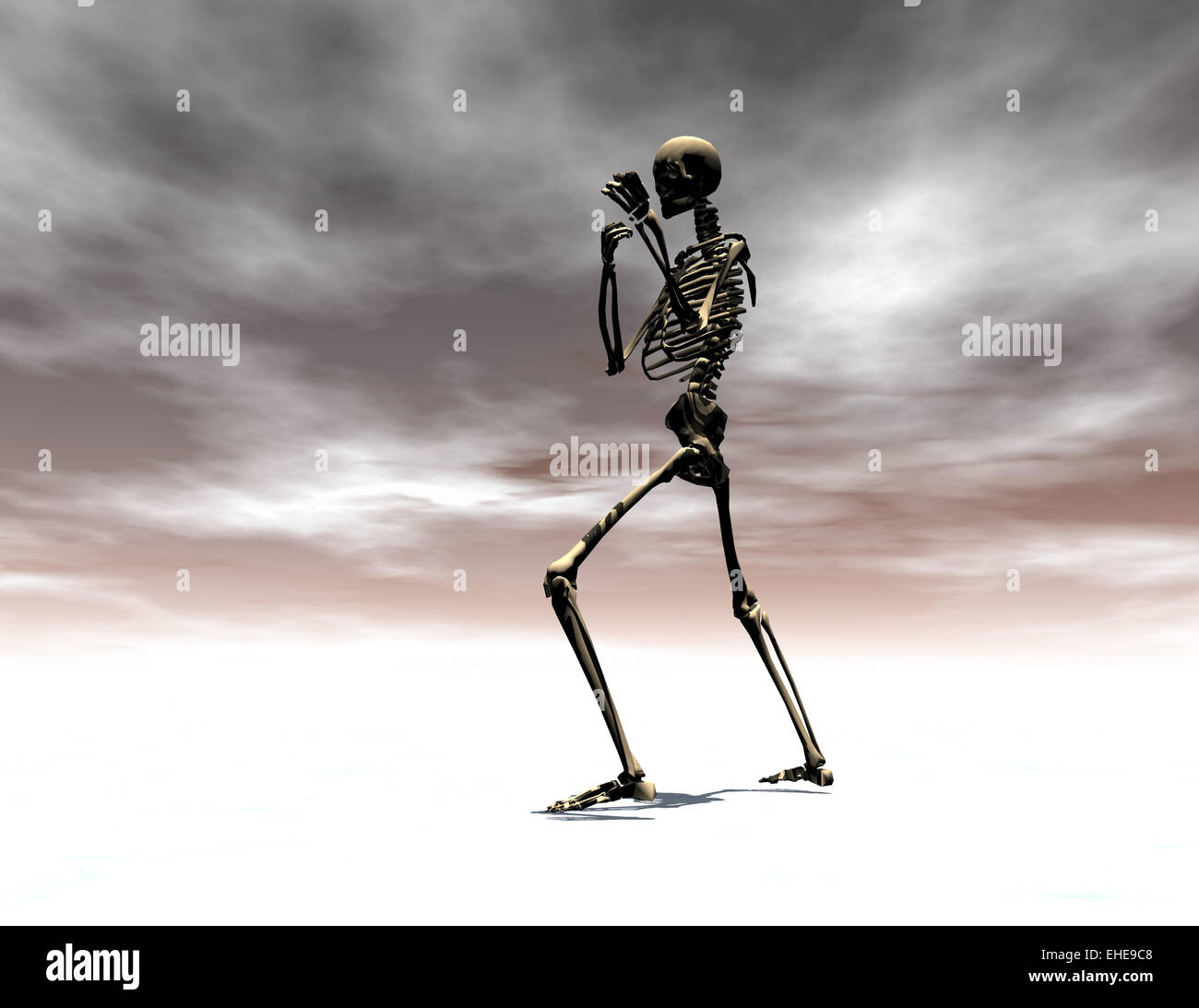 Totenkopf illustration hi-res stock photography and images - Alamy