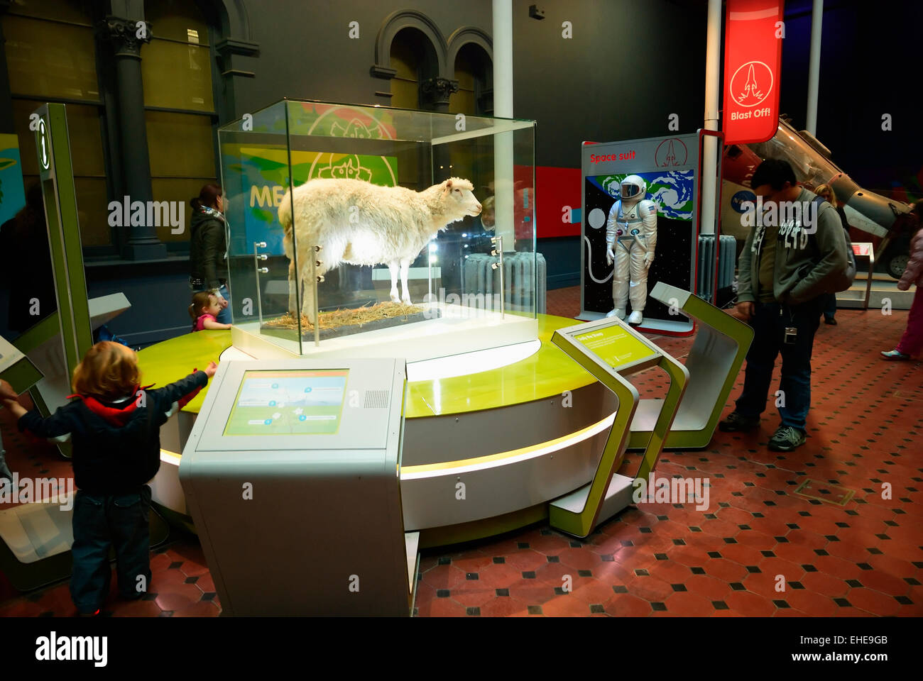 Dolly sheep clone hi-res stock photography and images - Alamy