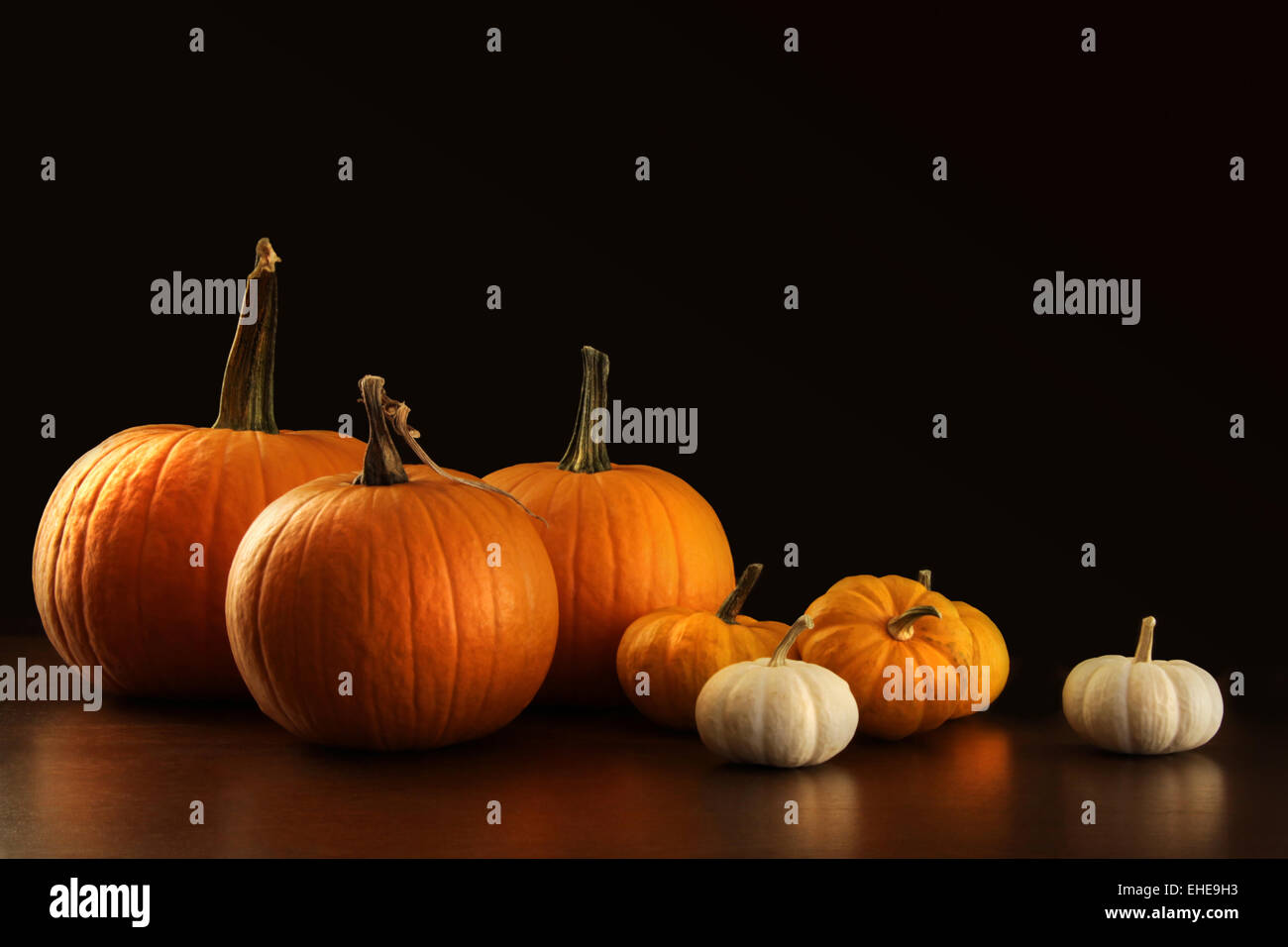 Different sized pumpkins and gourds on dark Stock Photo - Alamy