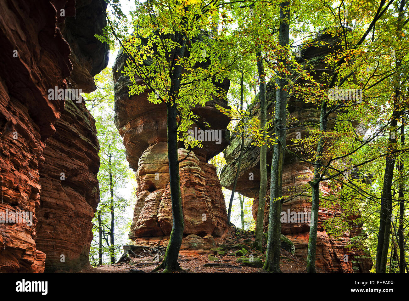 Altschloßfelsen, Eppenbrunn, Pfalz, Germany Stock Photo - Alamy