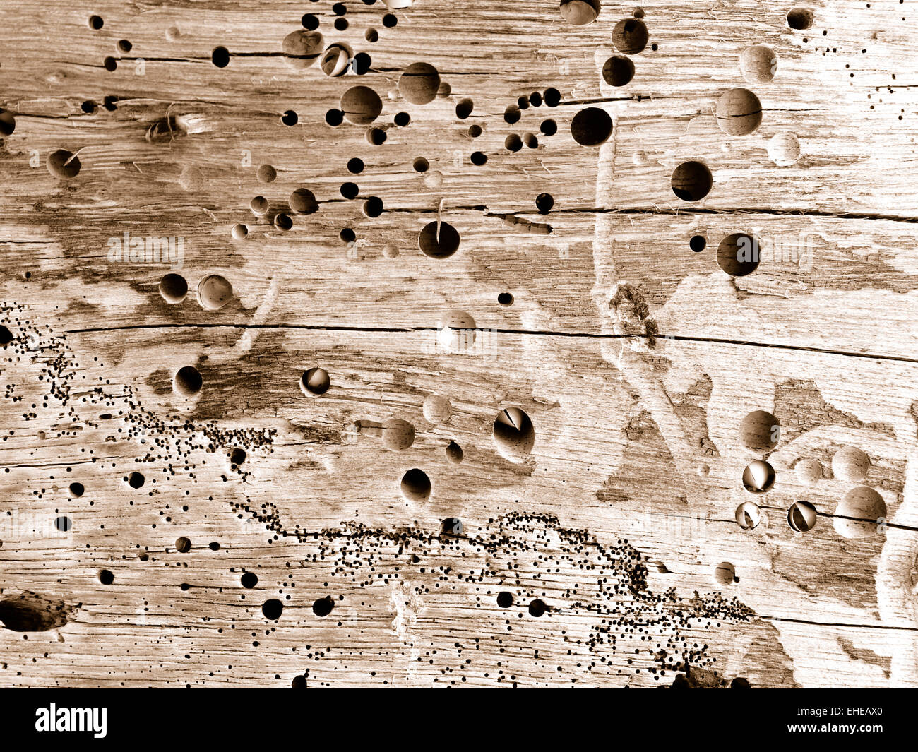 Wood boards texture background Stock Photo - Alamy