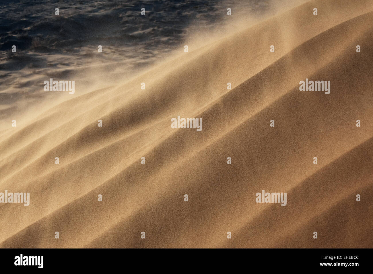 Sandstorm hi-res stock photography and images - Alamy