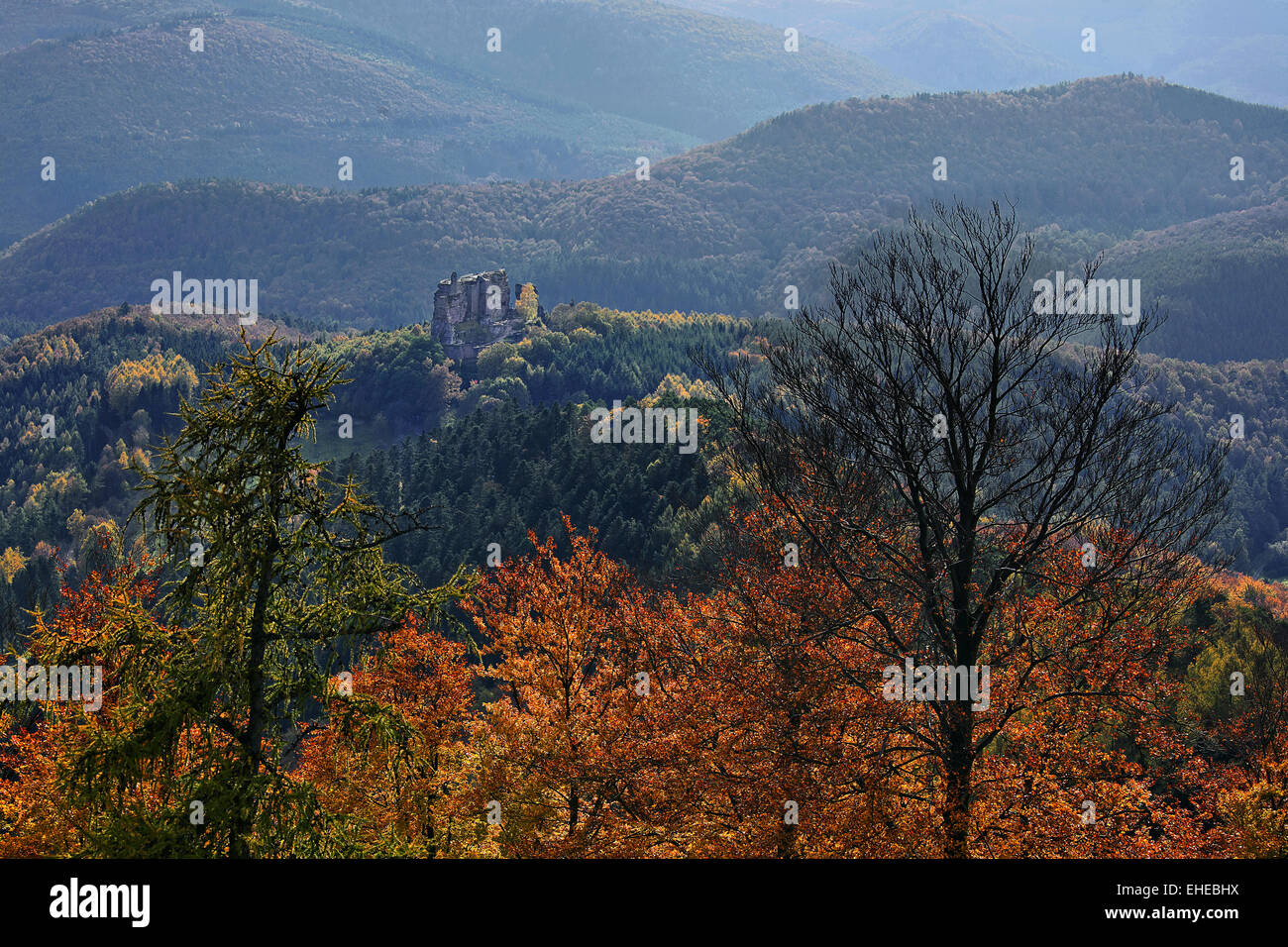 Fleckenstein High Resolution Stock Photography and Images - Alamy