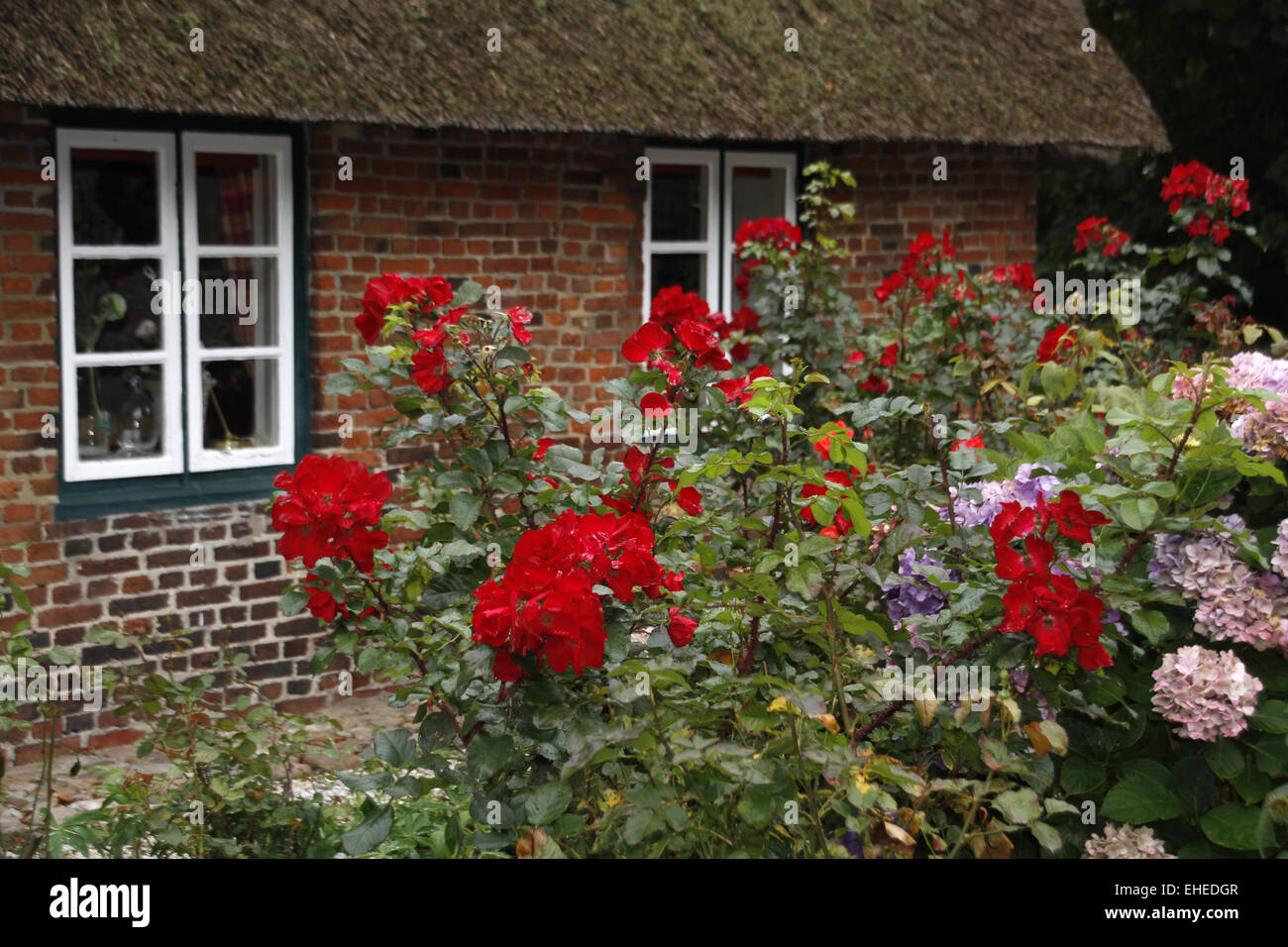 The rot front hi-res stock photography and images - Alamy