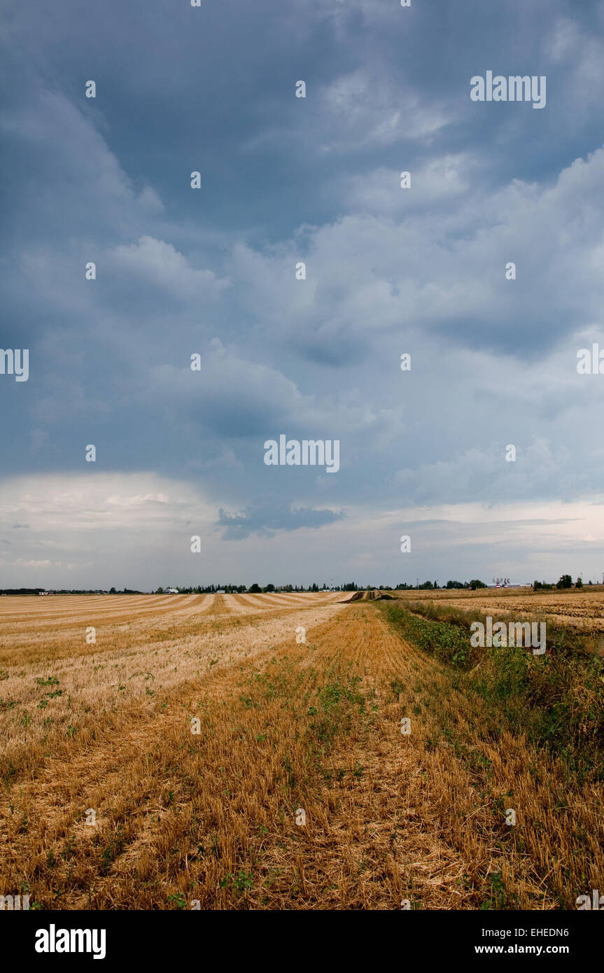 Harvested outdoor hi-res stock photography and images - Alamy