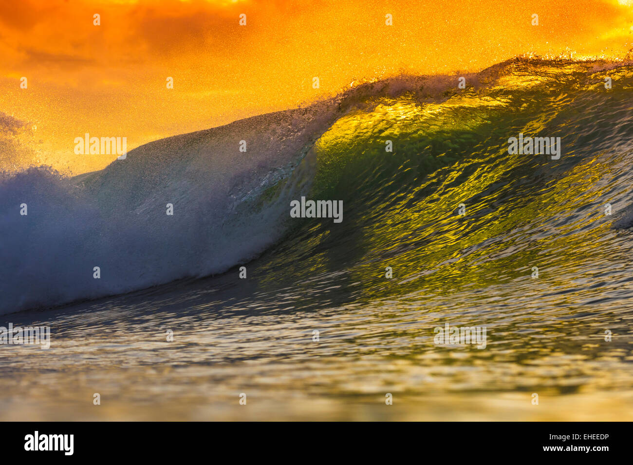 Colored Ocean Wave Falling Down at Sunset Time Stock Photo - Alamy