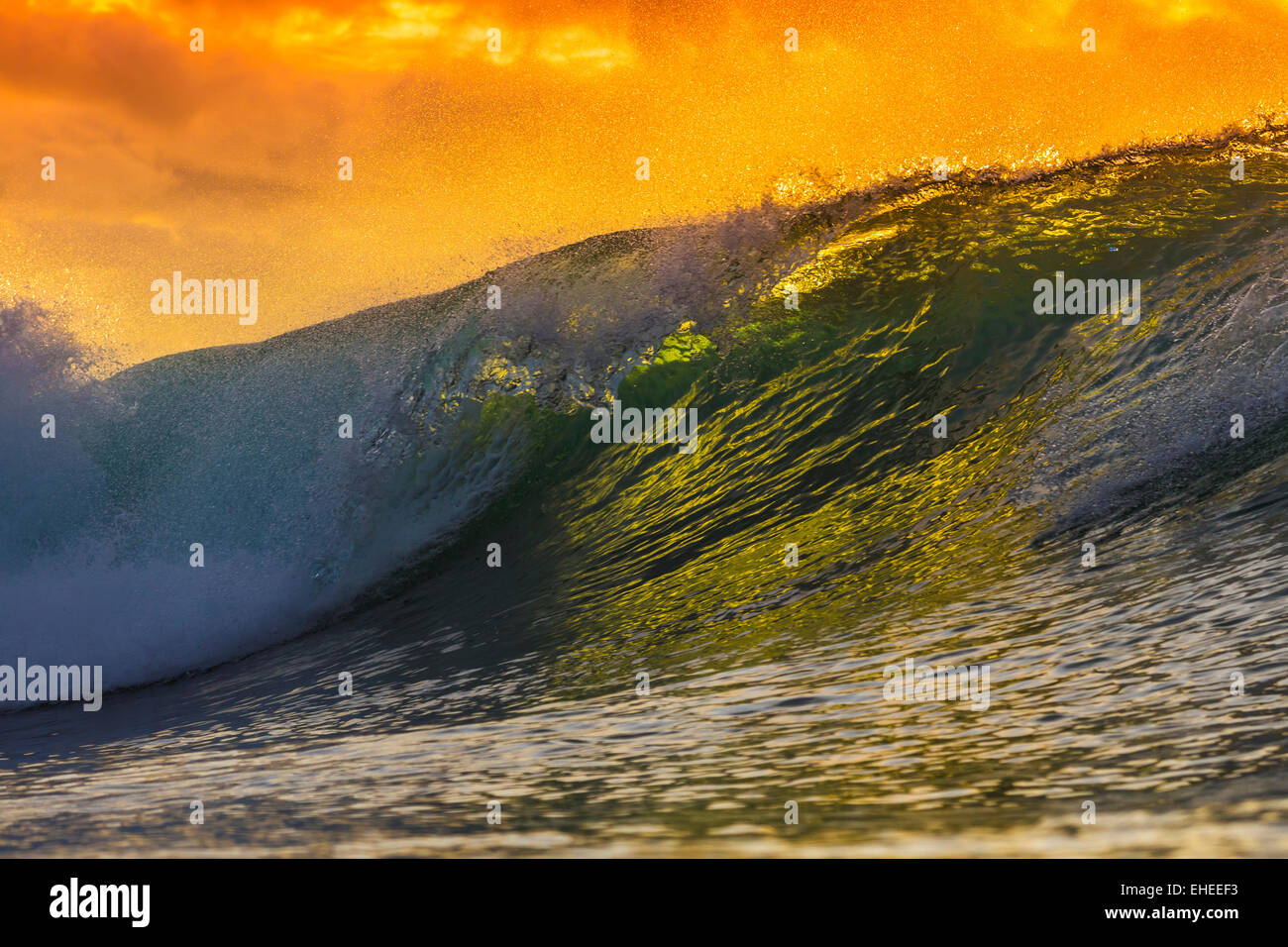 Colored Ocean Wave Falling Down at Sunset Time Stock Photo - Alamy