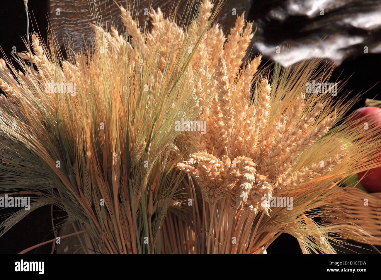 Two bundles of grain Stock Photo - Alamy