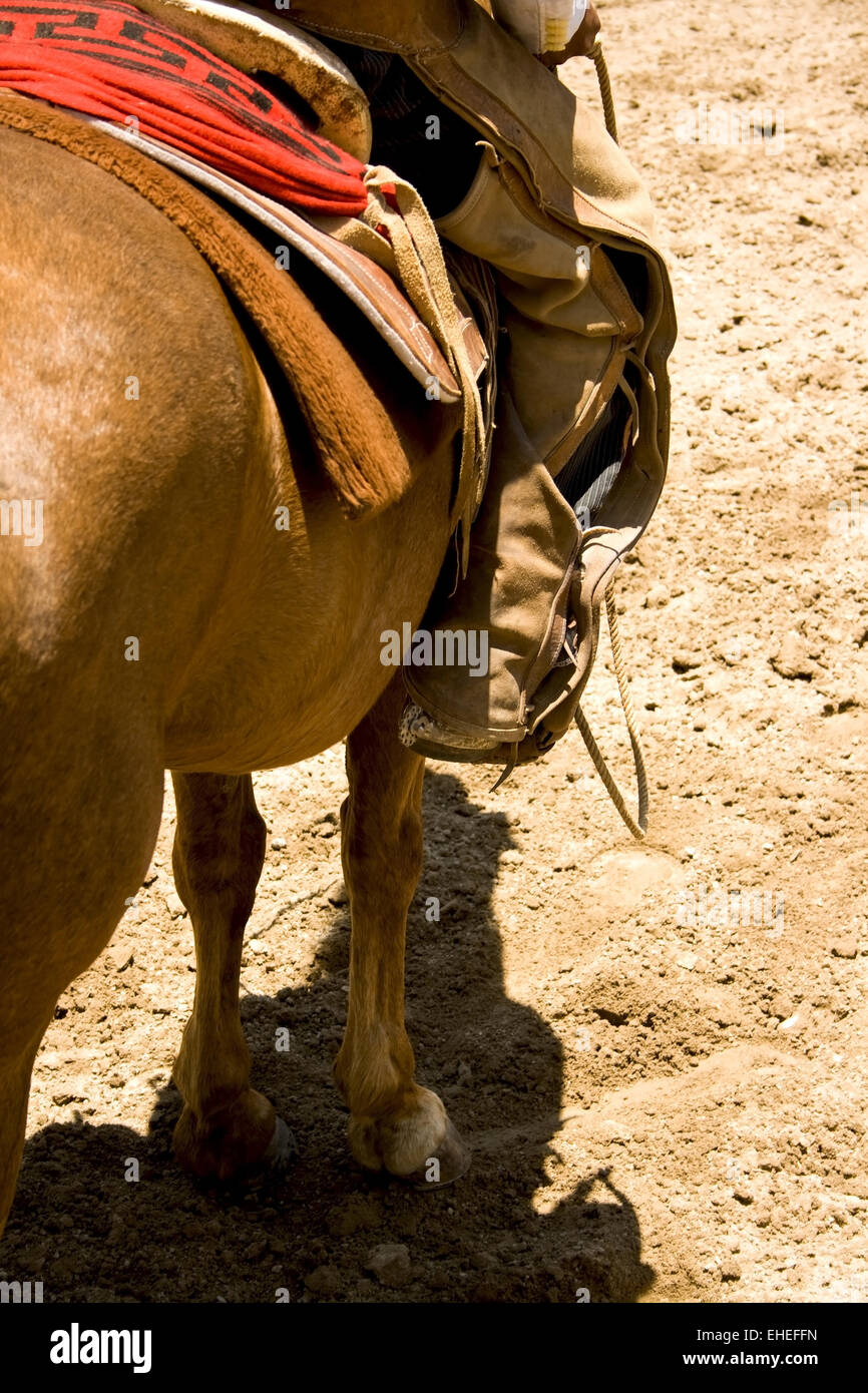 Mexican Cowboy And Horse High Resolution Stock Photography and Images ...