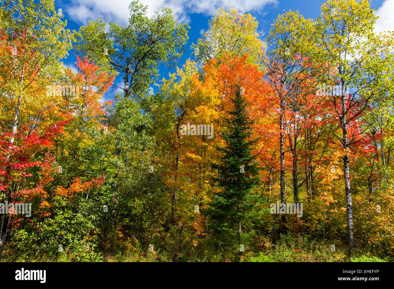 Autumn in Wisconsin Stock Photo - Alamy
