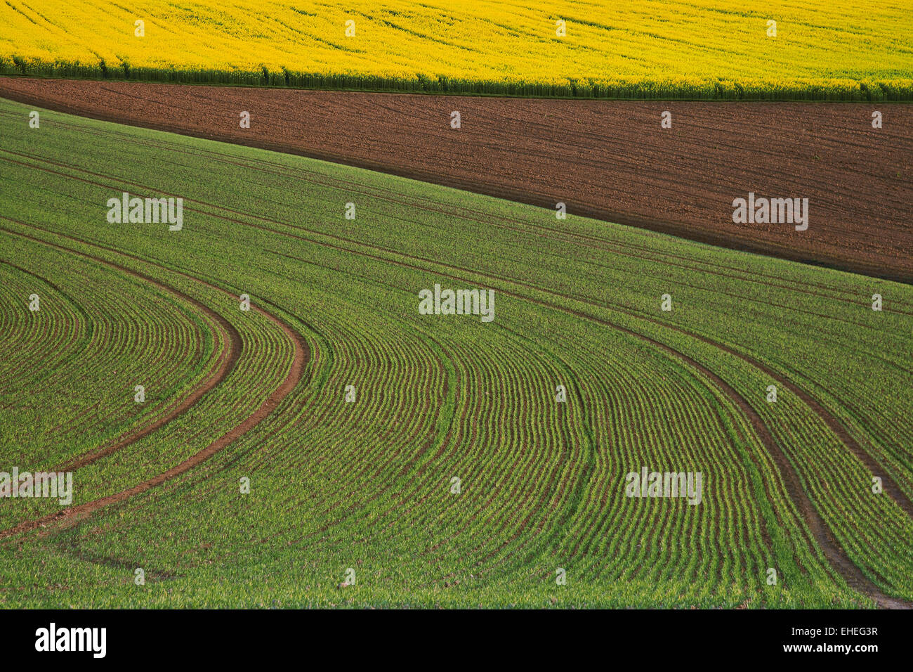 field in spring, Saarland, Germany Stock Photo - Alamy