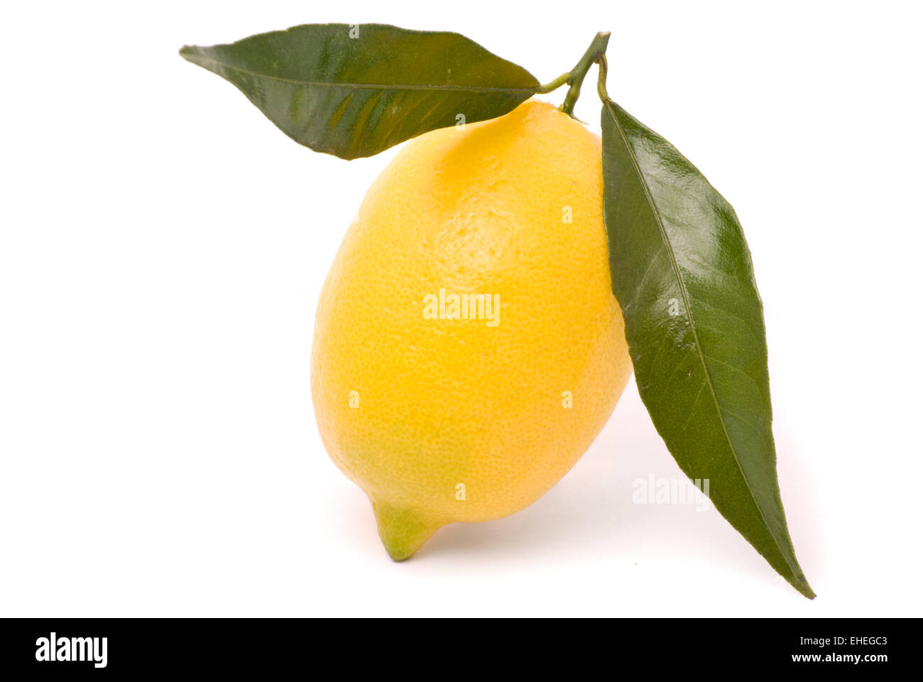 Lemon color background hi-res stock photography and images - Alamy