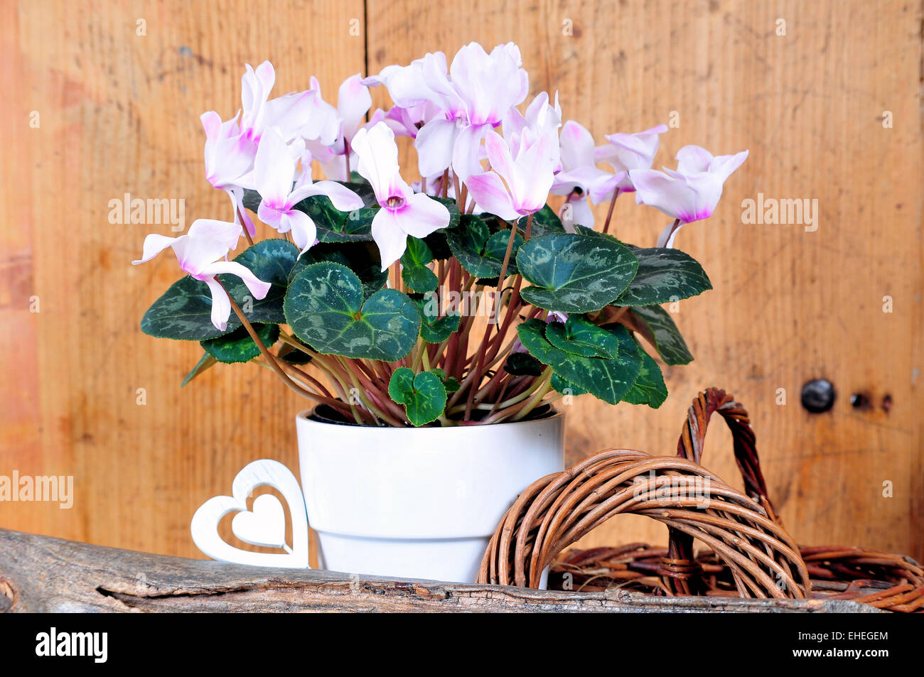 Flower vintage old wood Stock Photo - Alamy