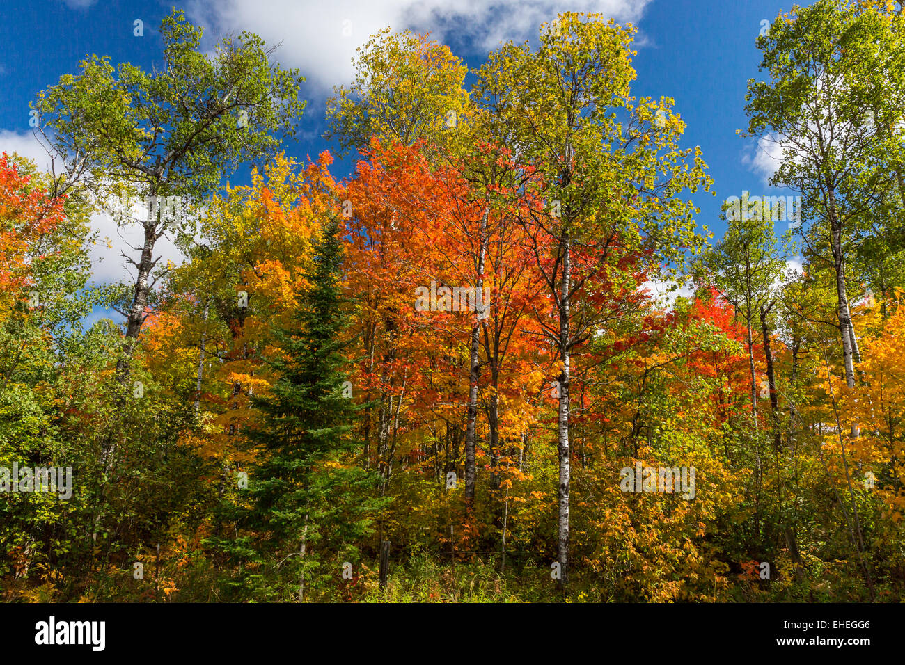 Autumn in Wisconsin Stock Photo - Alamy