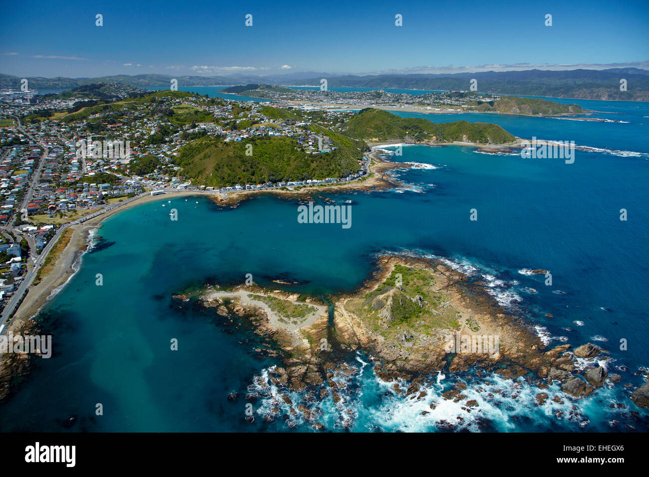 Island Bay and Tapu Te Ranga Island, Wellington, North Island, New ...