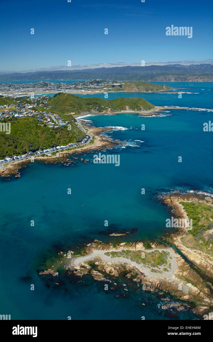 Island Bay and Tapu Te Ranga Island, Wellington, North Island, New ...