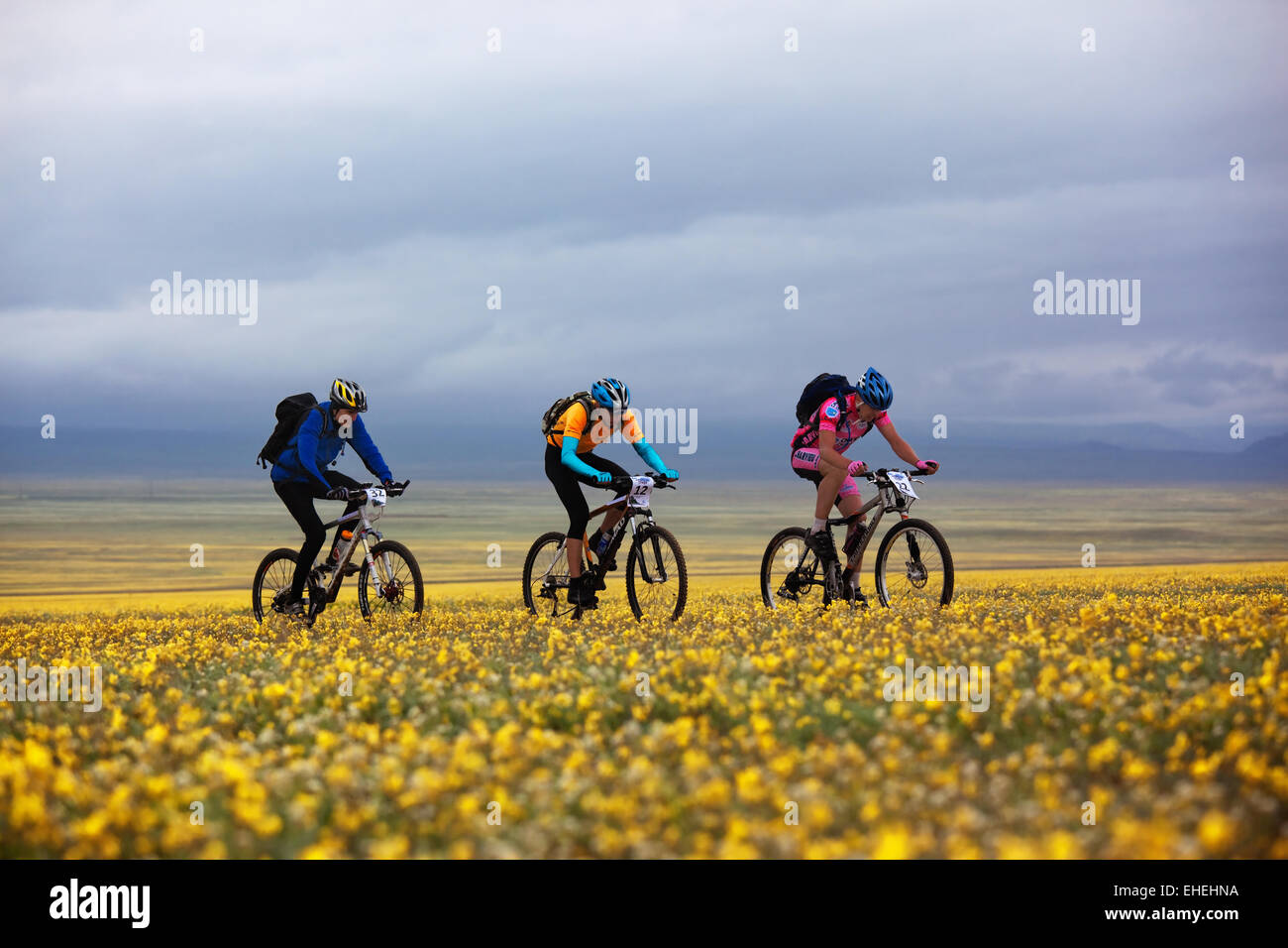 Yellow mountain bike hi-res stock photography and images - Alamy