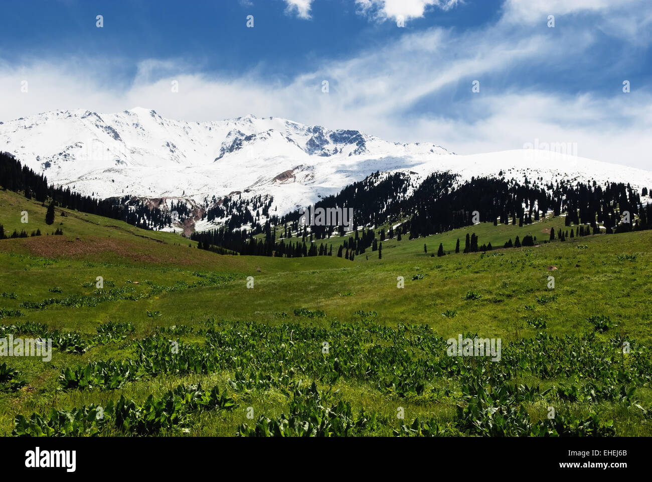 Spring mountain district hi-res stock photography and images - Alamy