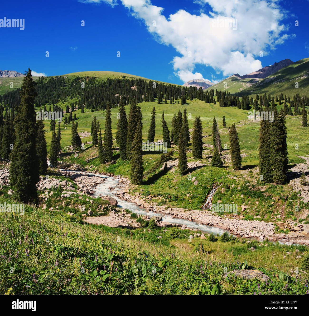 Summer mountain valley Stock Photo - Alamy