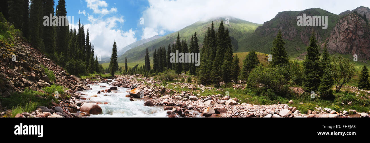 Panorama of a mountain river Stock Photo - Alamy