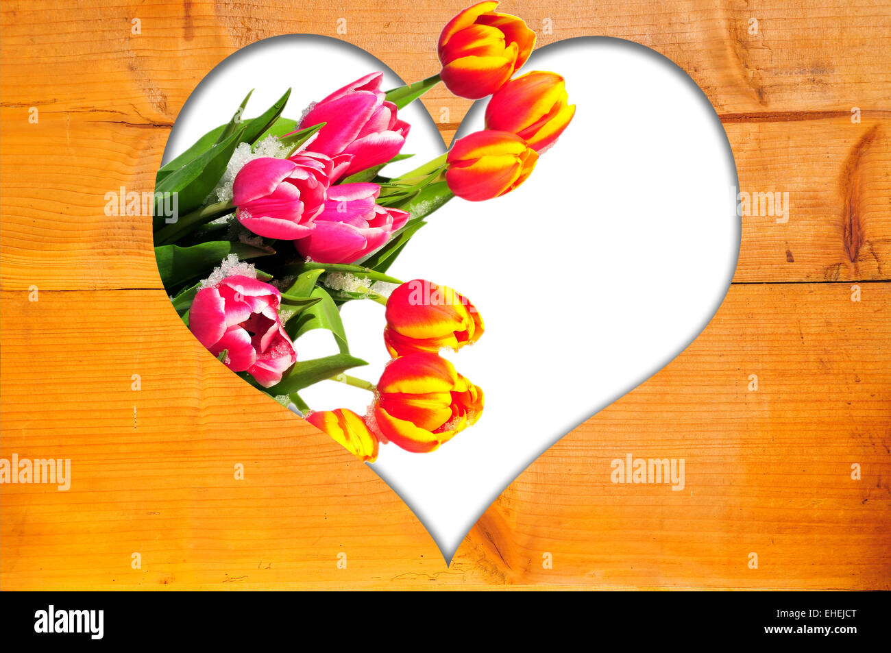 a heart old wooden tulips Spring Stock Photo - Alamy