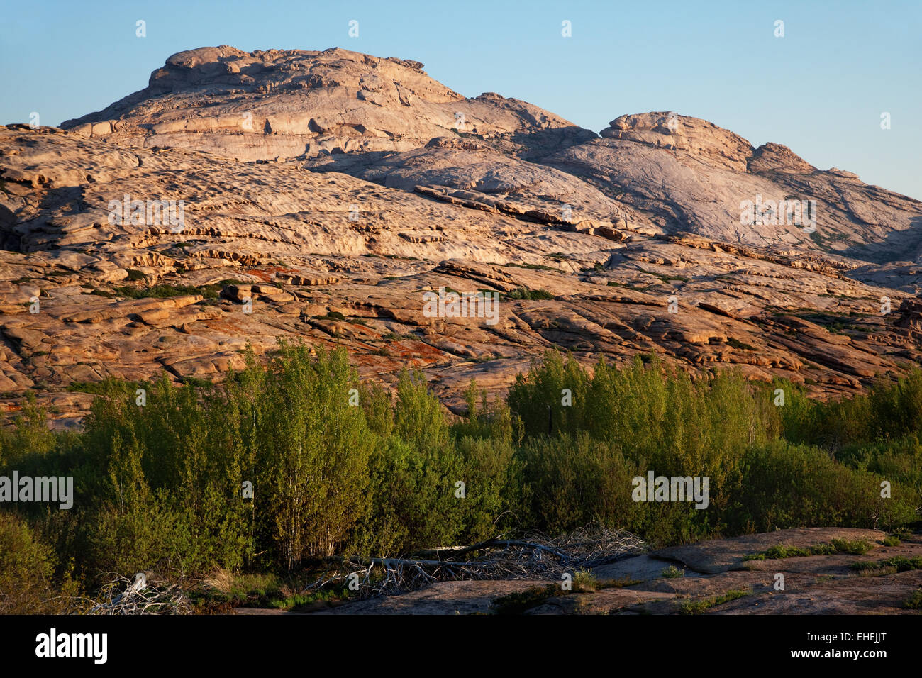 Green oasis in Desert mountains Stock Photo - Alamy