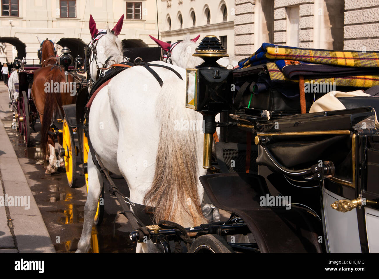 Fiaker in vienna hi-res stock photography and images - Alamy
