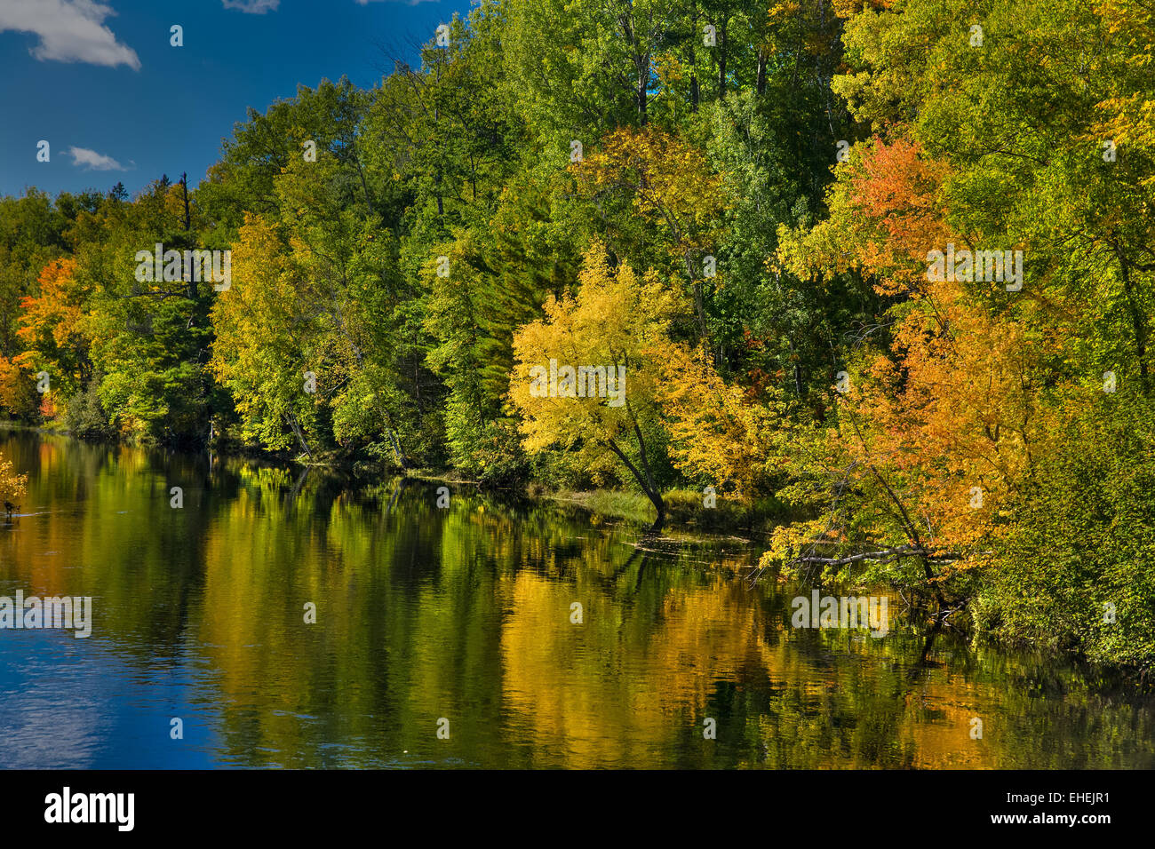 Tree fork with autumn leaves hi-res stock photography and images - Alamy