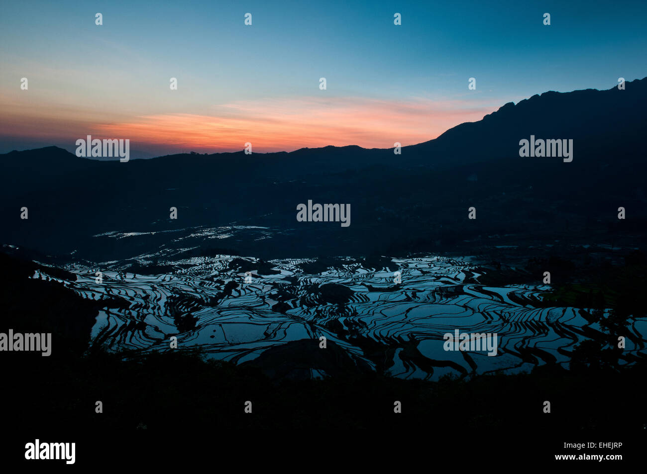Honghe Rice Terraces Stock Photo - Alamy