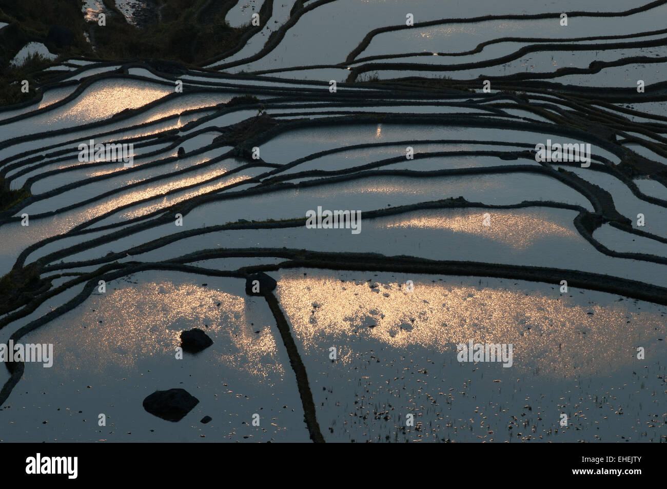 Honghe Rice Terraces Stock Photo - Alamy