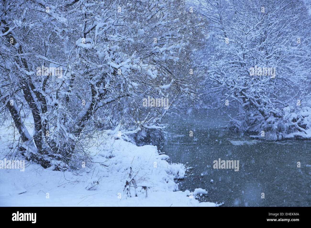 swow falling on the Nied, Saarland, Germany Stock Photo - Alamy
