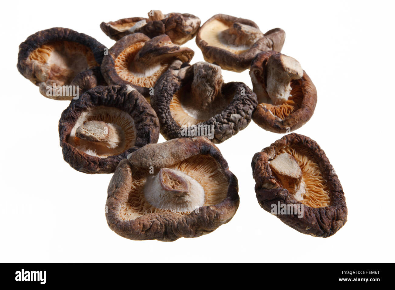 Shiitakepilze hi-res stock photography and images - Alamy