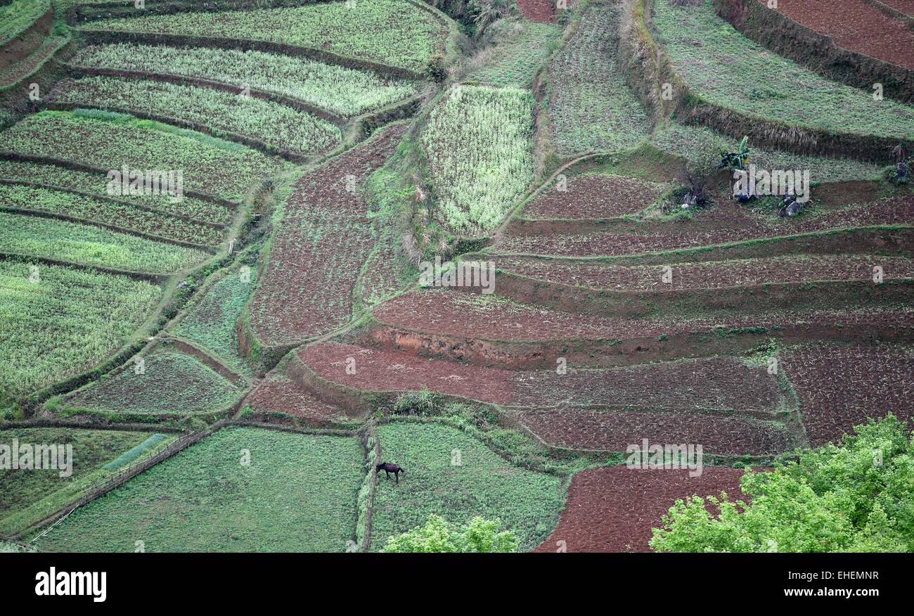 Tiandeng, Tiandeng County of south China's Guangxi Zhuang Autonomous ...