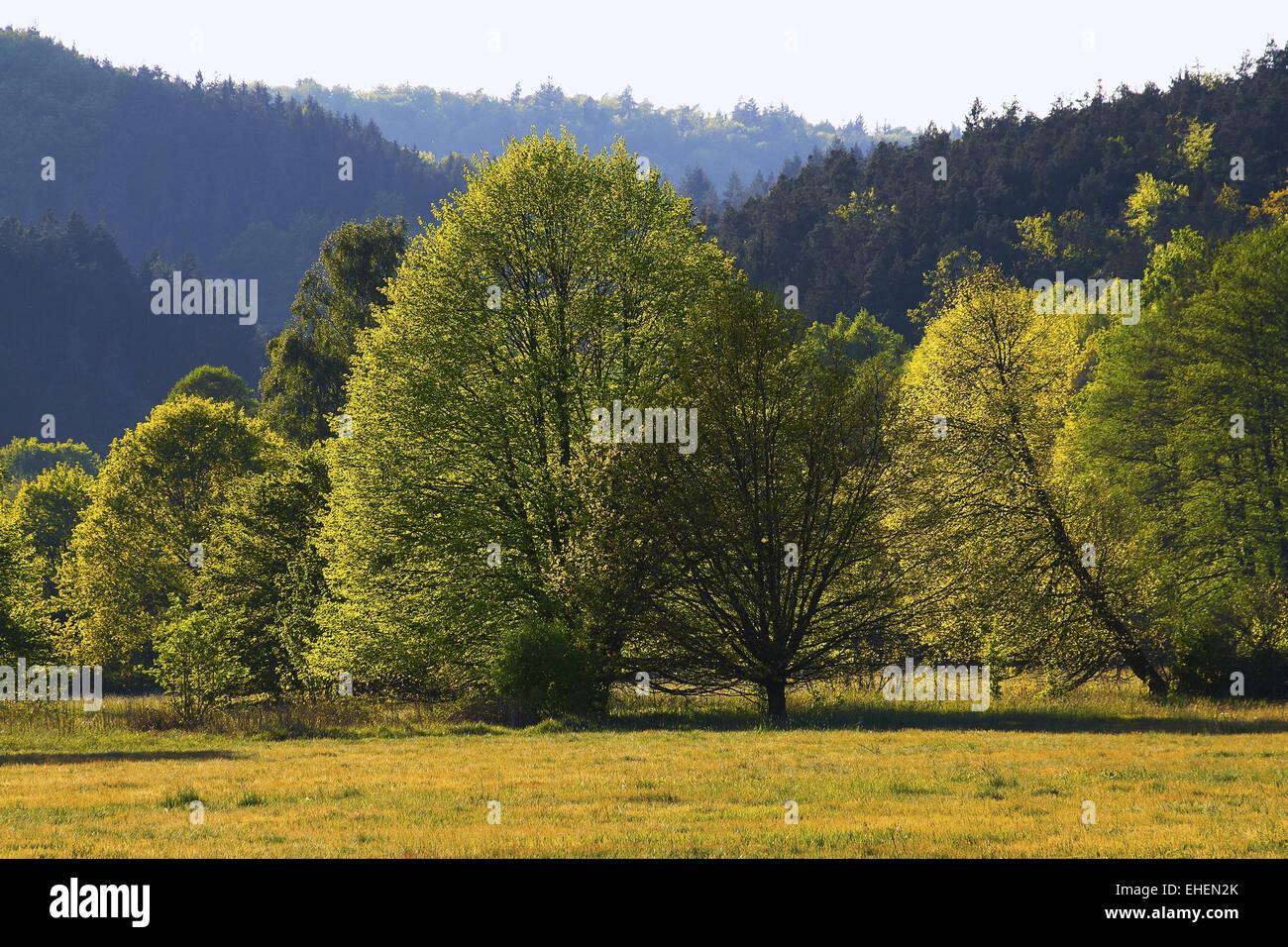 Wieslauter valley near Dahn, Germany Stock Photo - Alamy