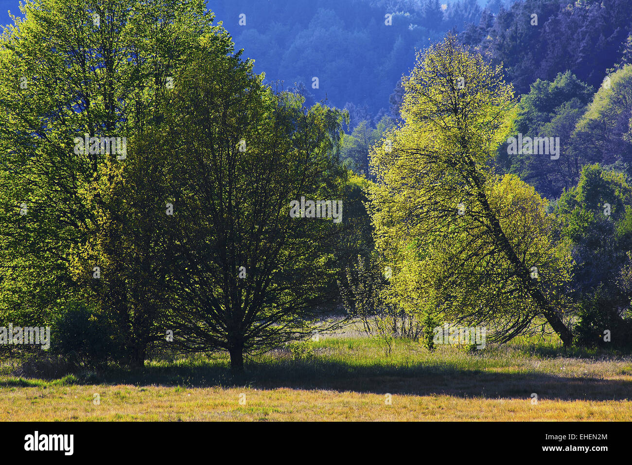 Wieslauter valley near Dahn, Germany Stock Photo - Alamy