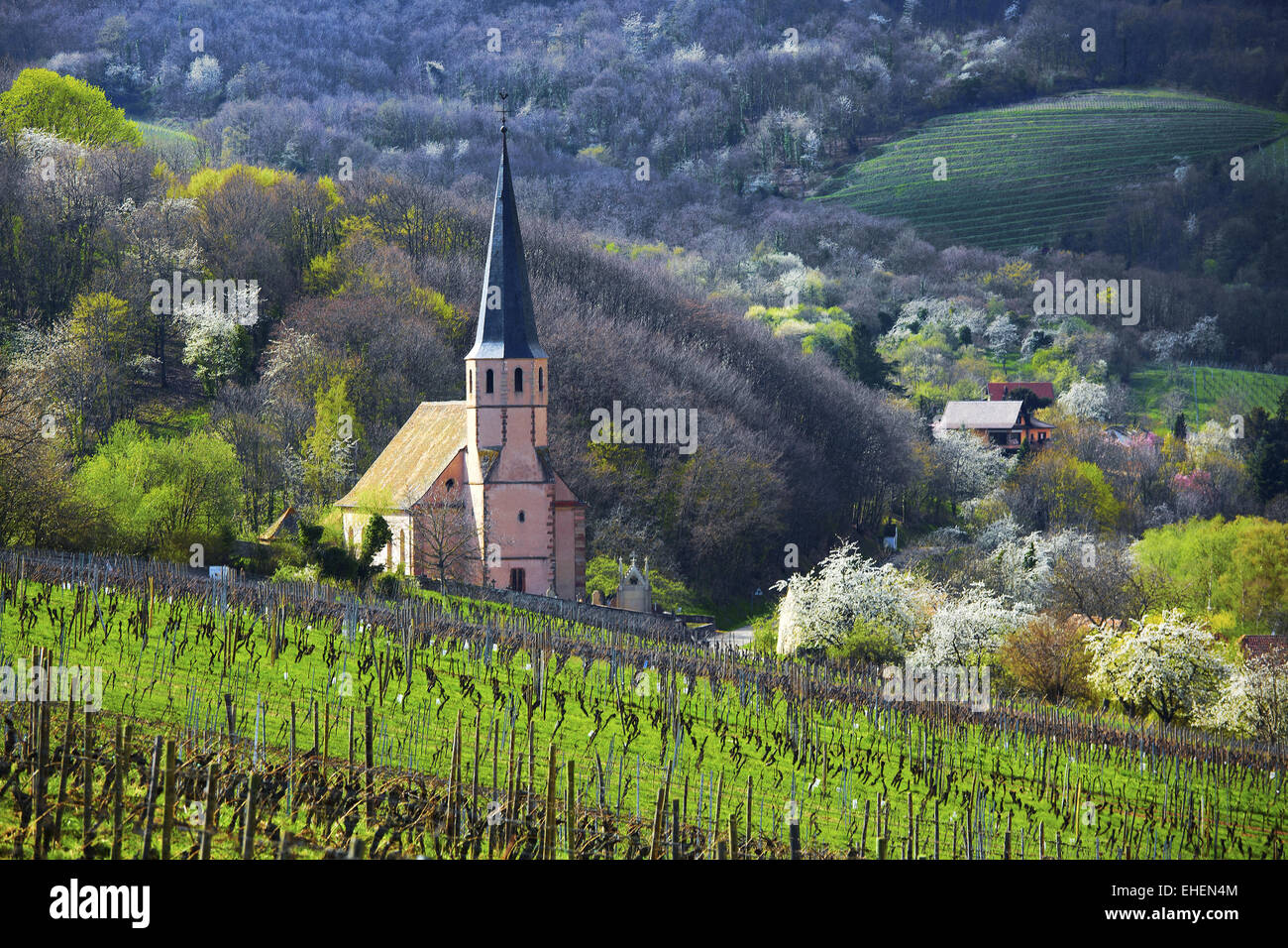 Alsace vineyard hi-res stock photography and images - Alamy